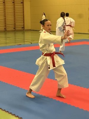 News - Four International Gold Medals - Freestyle Combat Karate
