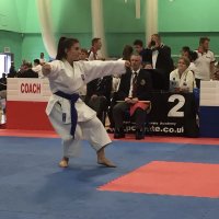 News - SEKF Kata Squad Success - Freestyle Combat Karate