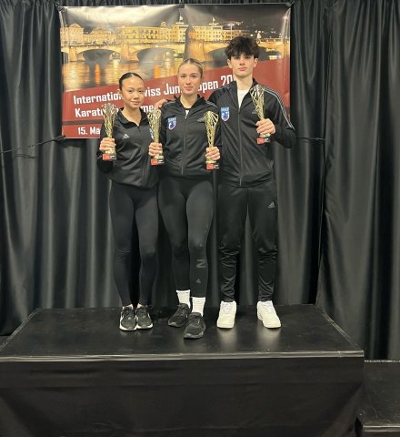 News - Four International Gold Medals - Freestyle Combat Karate